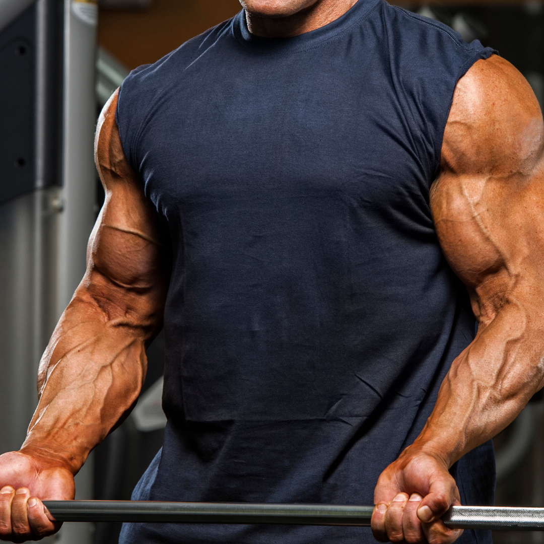 Unlock Your Potential: The Ultimate Guide to Building Muscle Mass ...